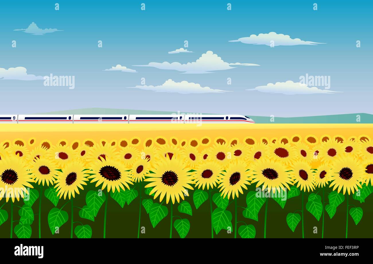 The high-speed train hurtling through a field of sunflowers Stock ...