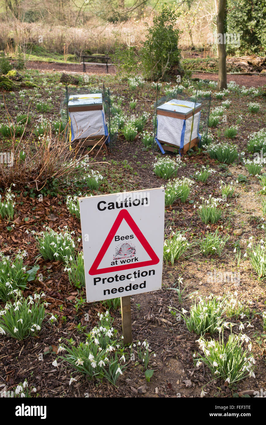 Warning sign bees hi-res stock photography and images - Alamy