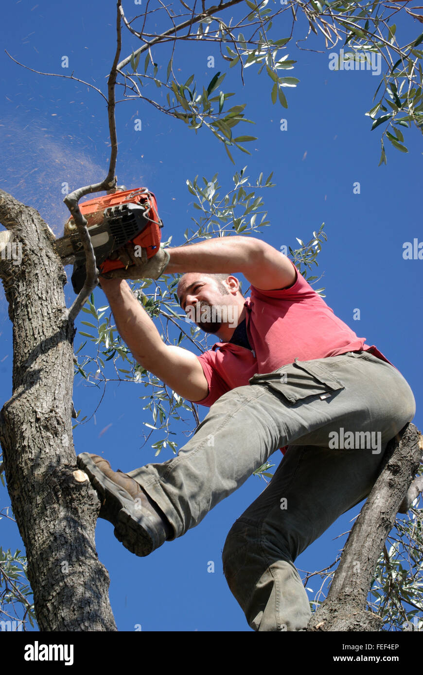 Traditional garden pruning tool hi-res stock photography and images - Alamy