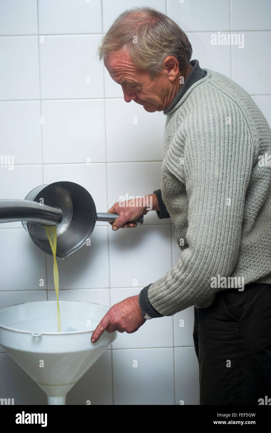 Olive oil production. Fresh virgin olive oil pouring into tank Stock ...
