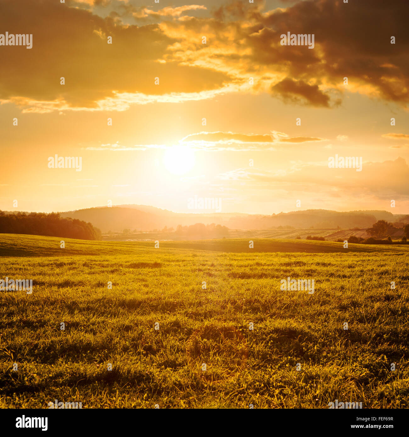 Summer Field and Clouds in Golden Light of Sunset Stock Photo - Alamy