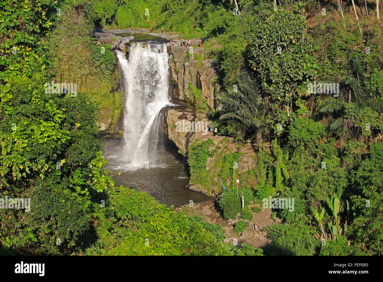 UBUD/INDONESIA - CIRCA NOVEMBER 2015: Amazing Tegallalang waterfall ...