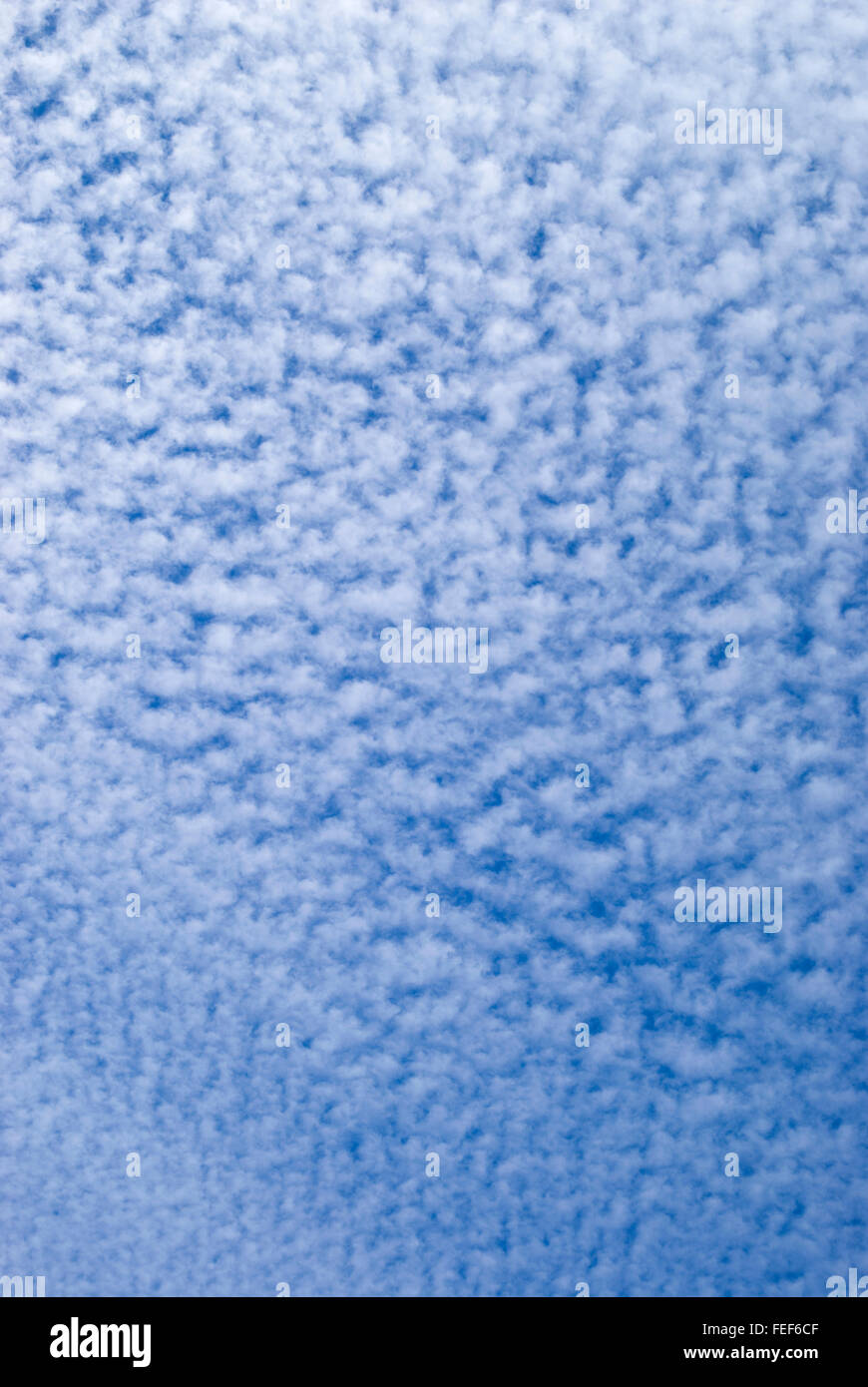 Cirrocumulus clouds on a summer afternoon Stock Photo - Alamy