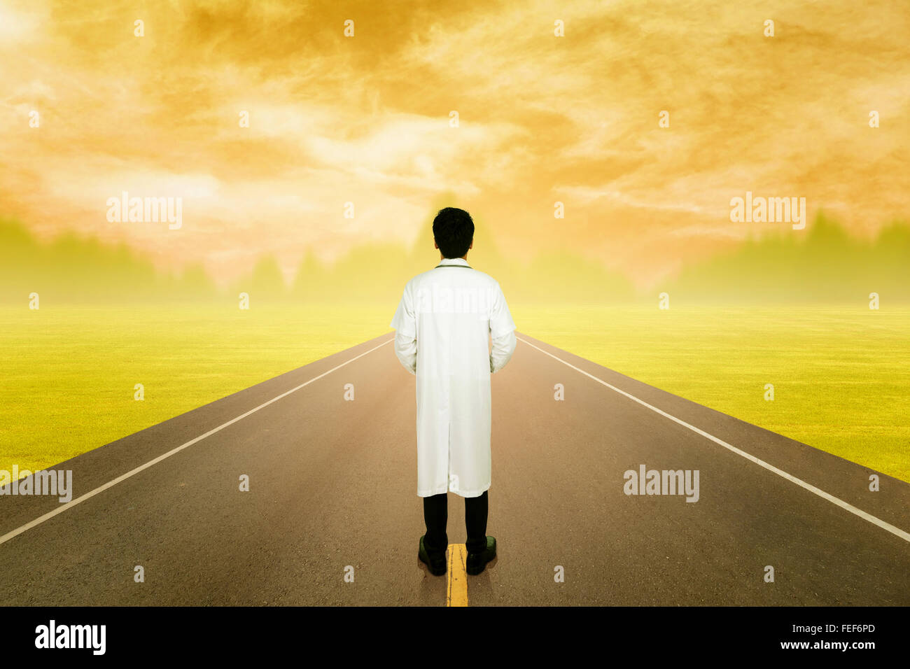 Doctor back view hi-res stock photography and images - Alamy