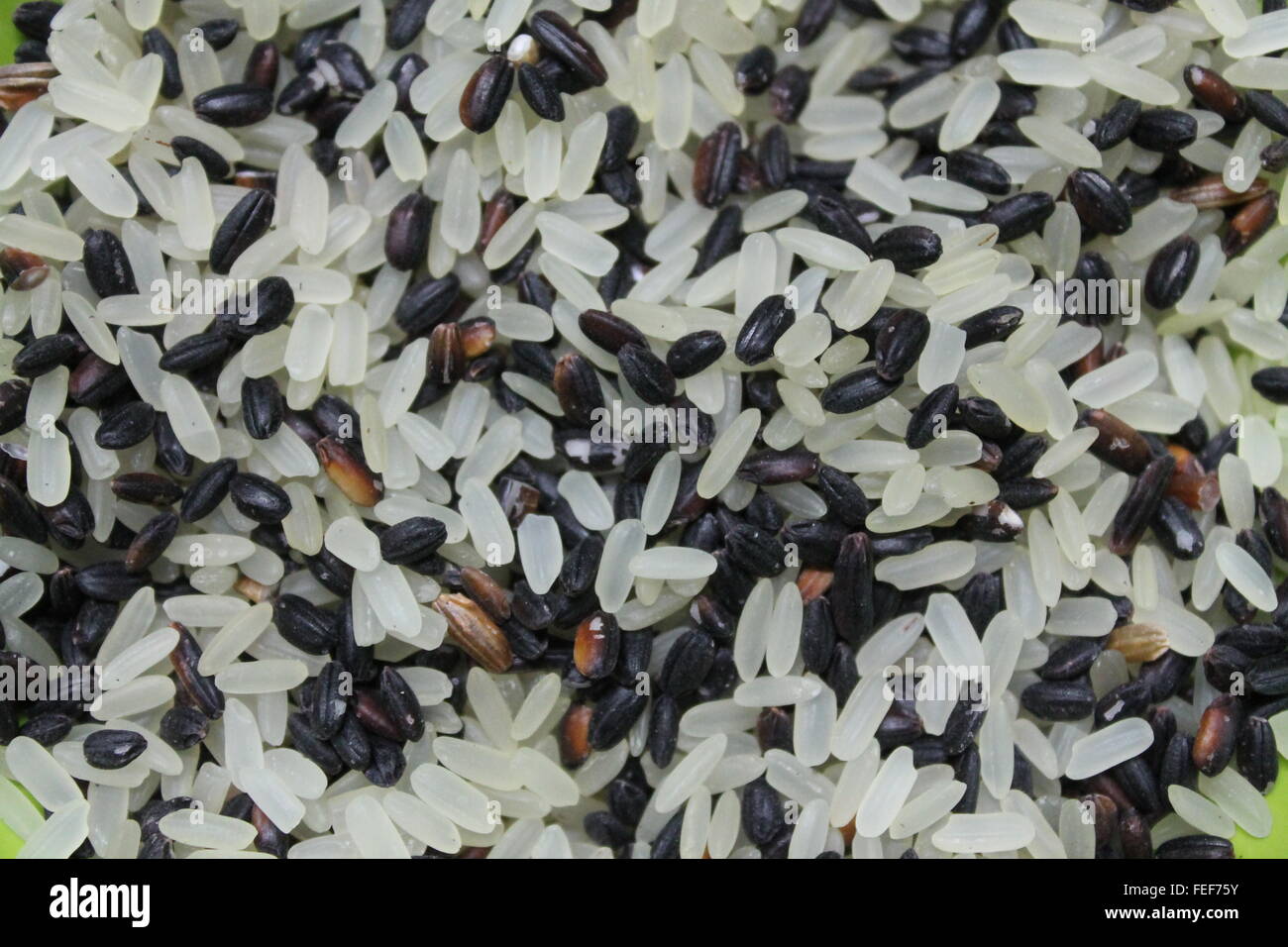 white and black seeds of wild rice Stock Photo - Alamy