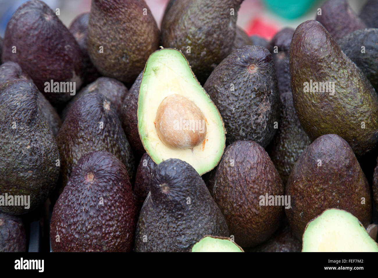 Avocado fat hi-res stock photography and images - Alamy