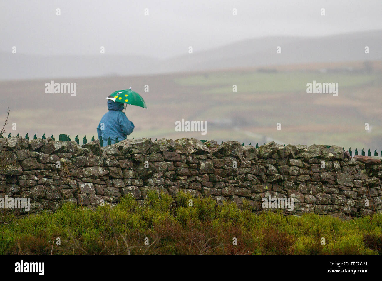 Tebay, Cumbria, UK 6th February, 2016. Trainspotters, in gales and ...