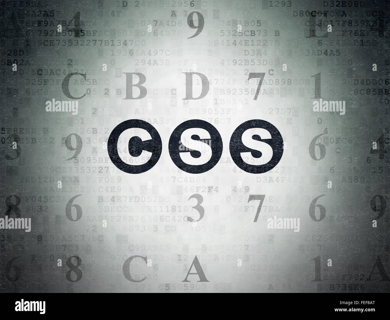Software concept: Css on Digital Paper background Stock Photo - Alamy