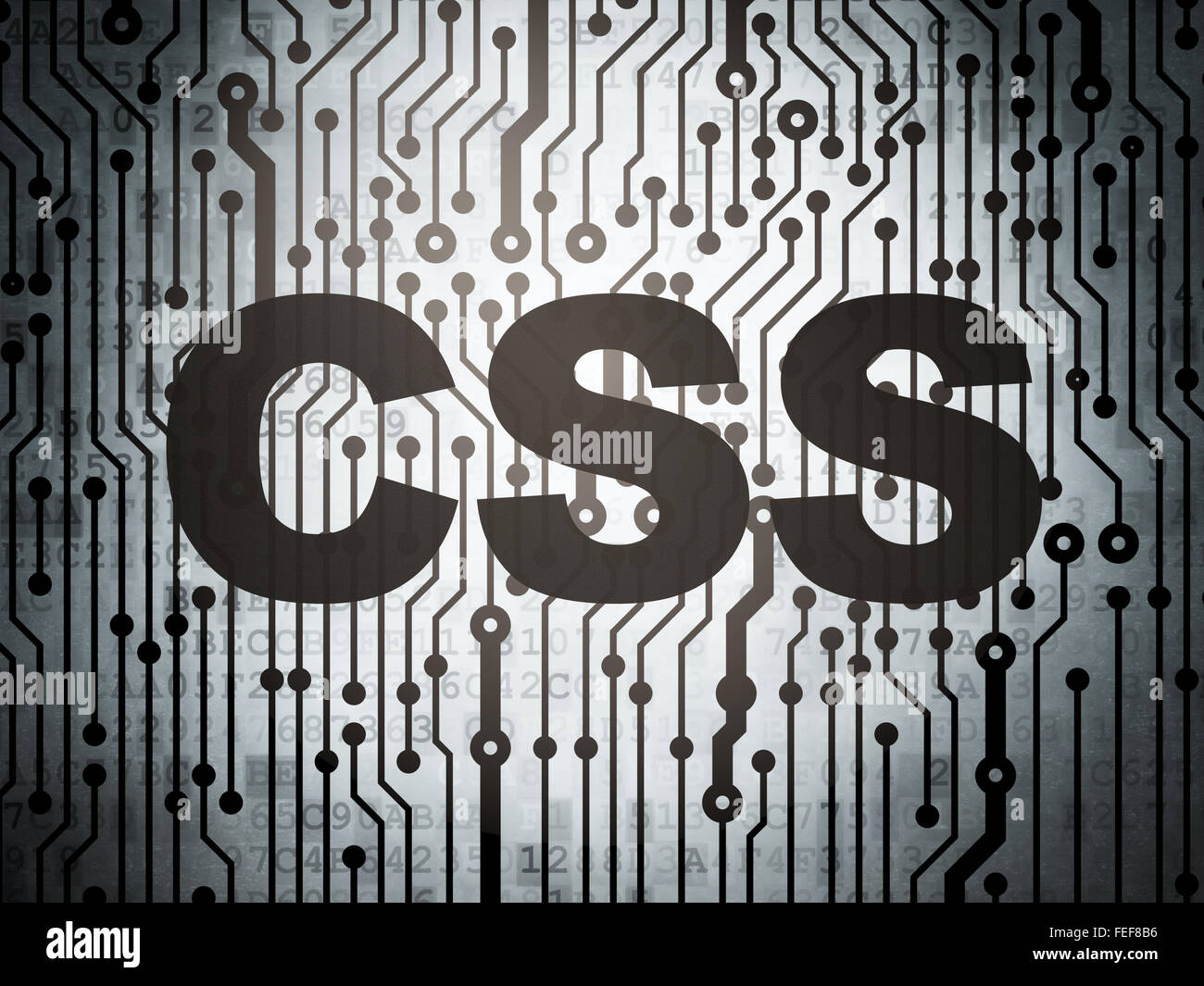 Programming concept: circuit board with Css Stock Photo - Alamy