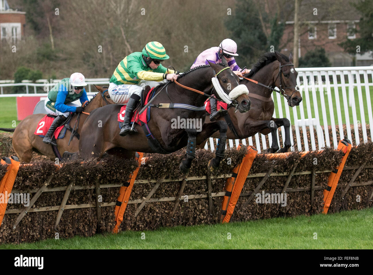 Sandown park, Esher, UK, Surrey 6th February 2016 Rayvin Black nearside ...