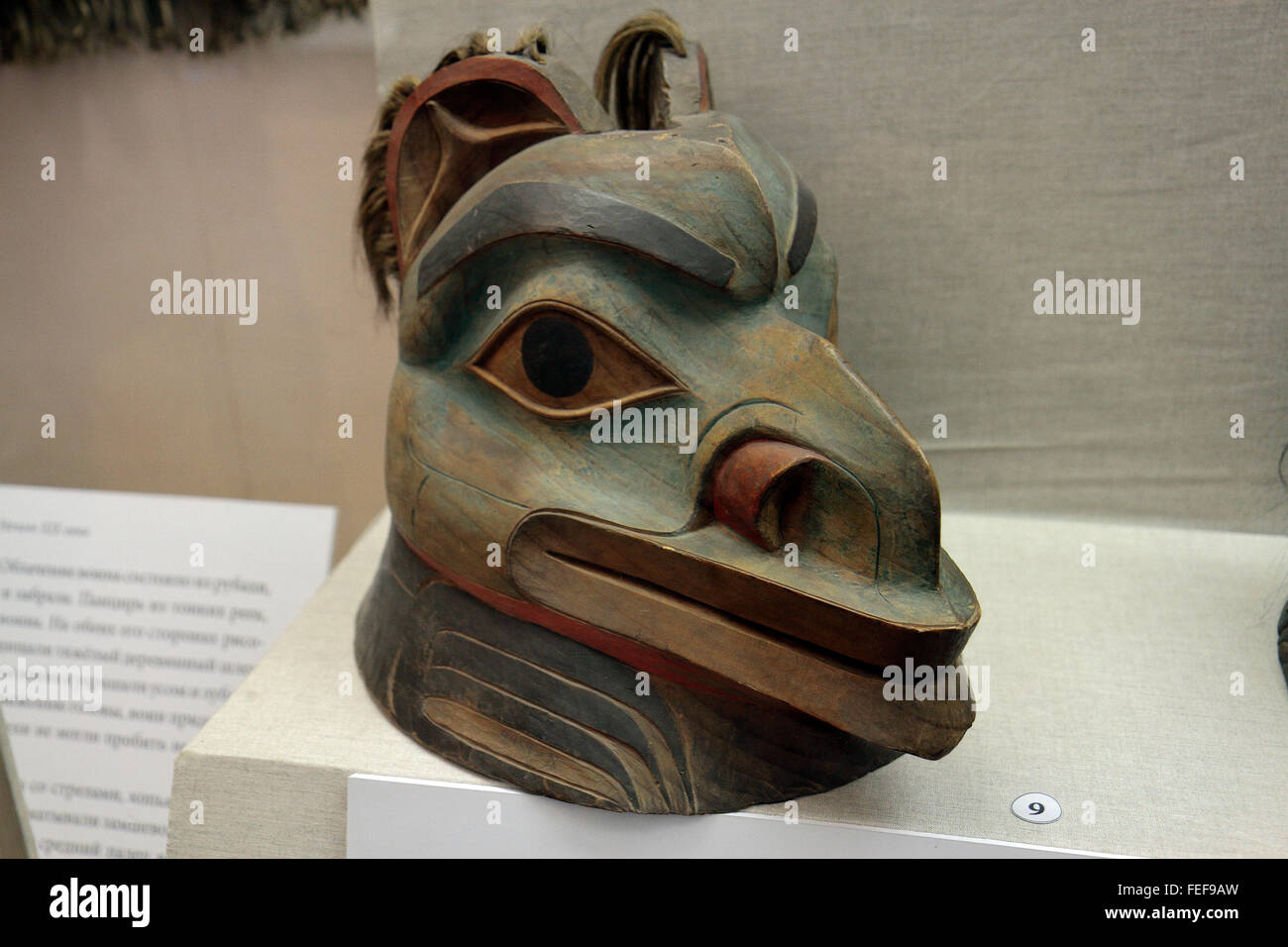 A North American Tlingits (Alaska) mountain goat head helmet in the ...