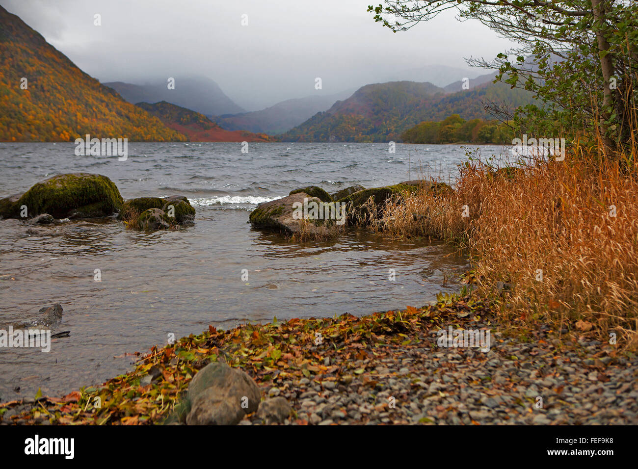Loch tay near killin scotland hi-res stock photography and images - Alamy