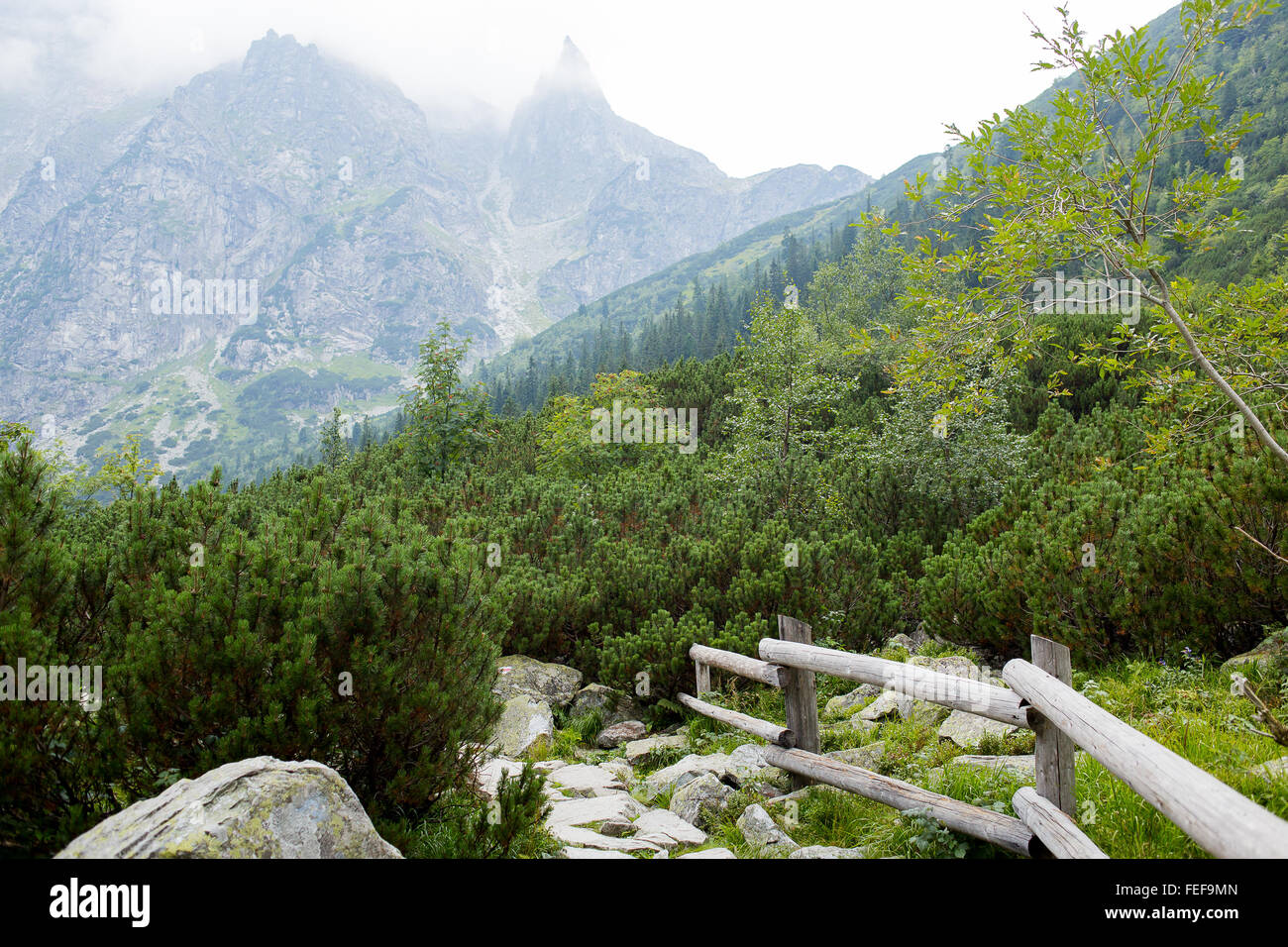 Five lakes countryside hi-res stock photography and images - Alamy