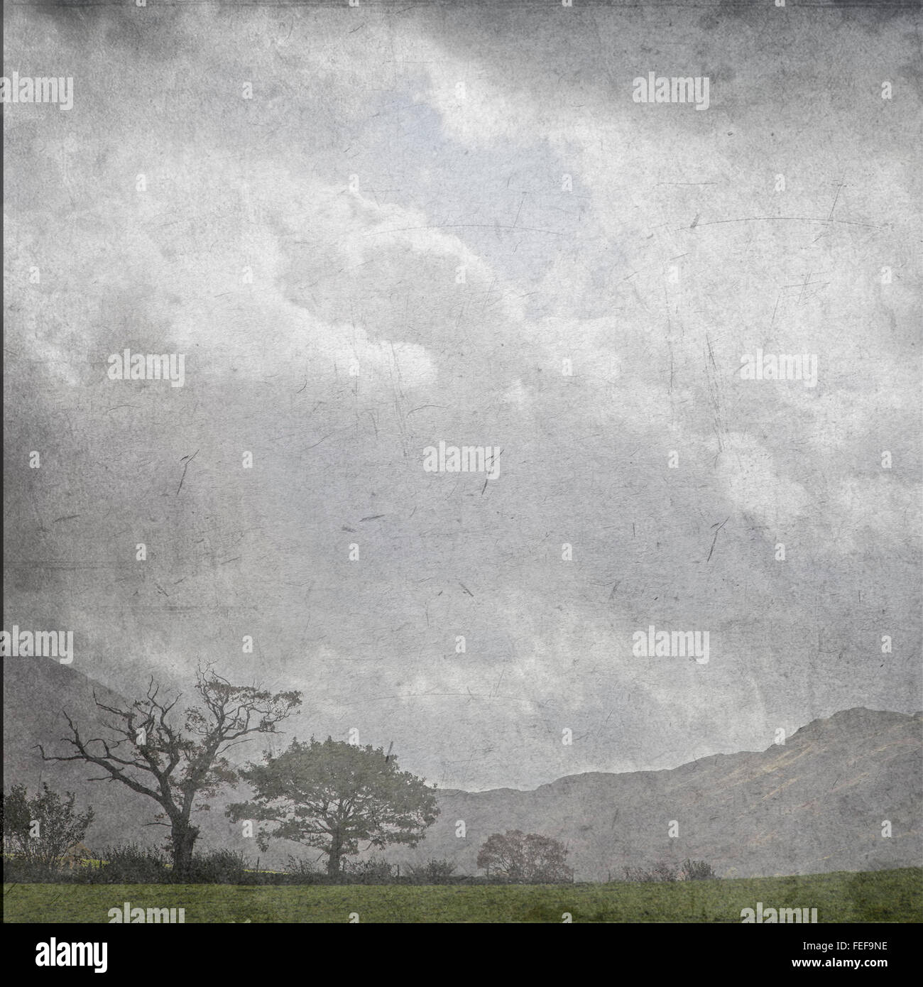 textured old paper background with Scotland summer landscape Stock ...