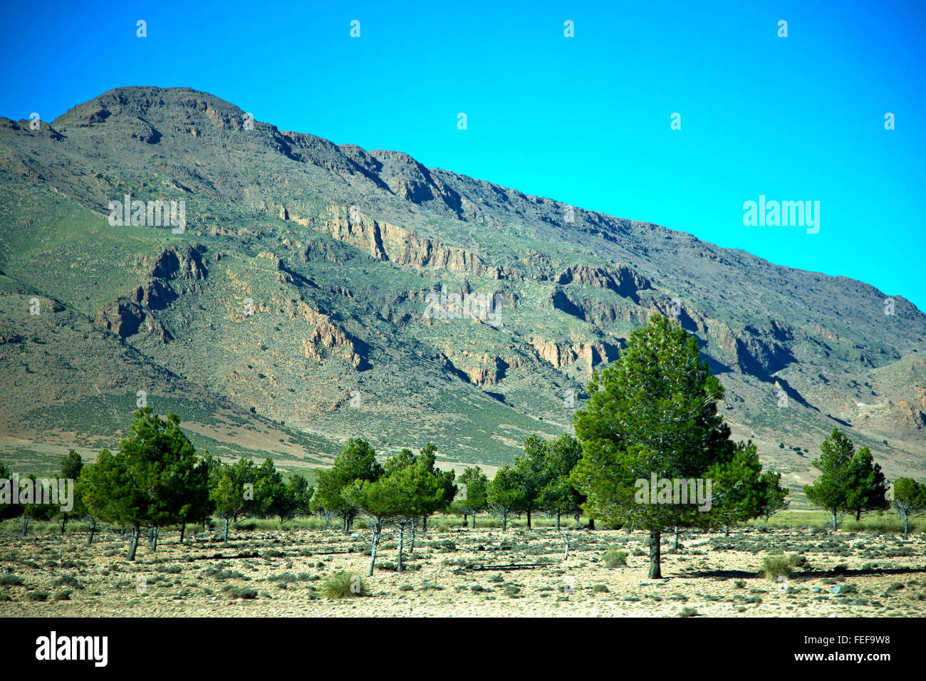 valley in africa morocco the atlas dry mountain ground isolated hill ...