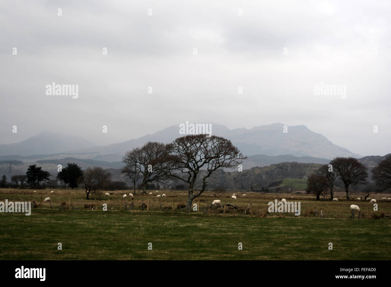 Talsarnau hi-res stock photography and images - Alamy