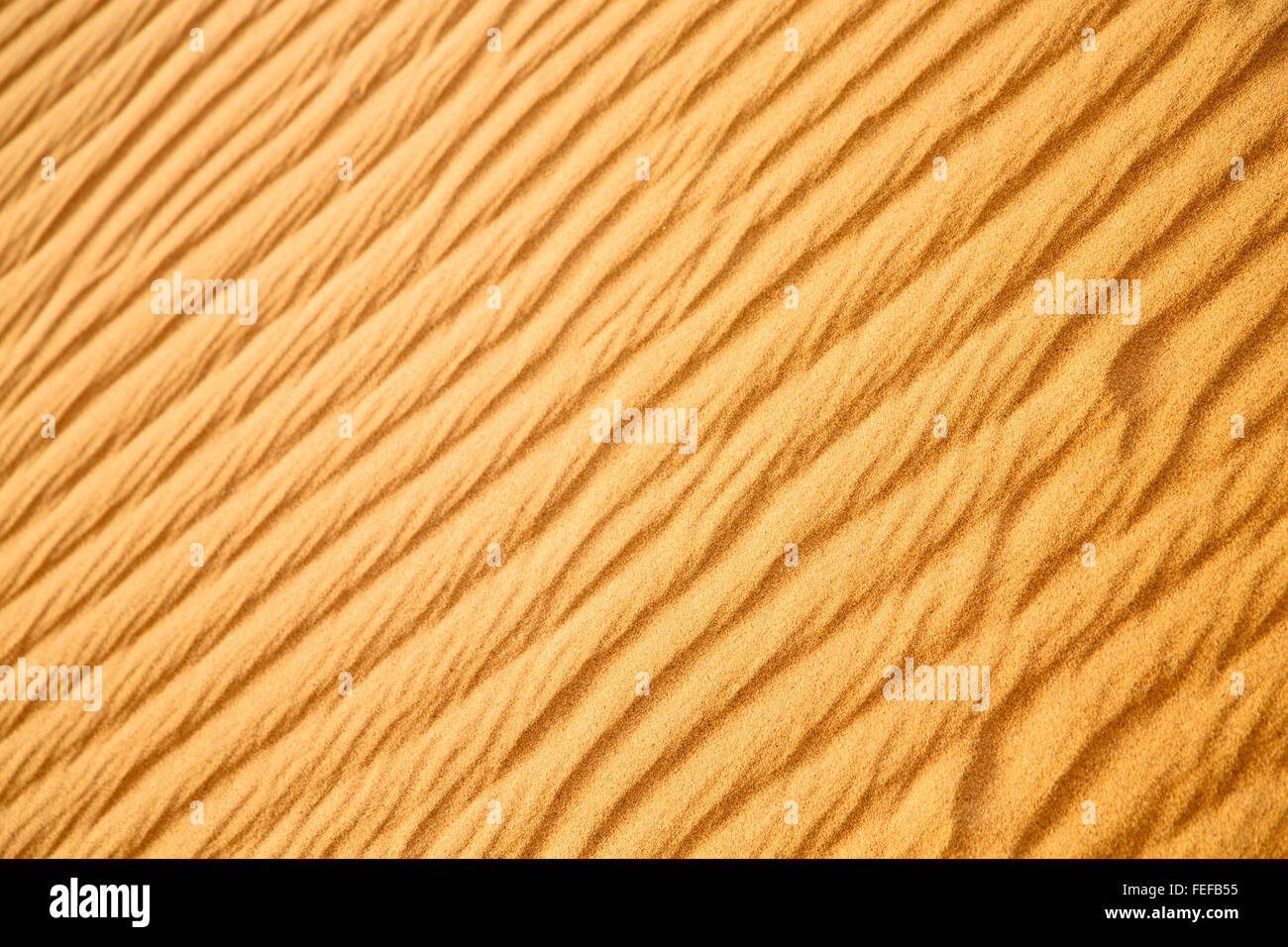 the brown sand dune in the sahara morocco desert Stock Photo - Alamy