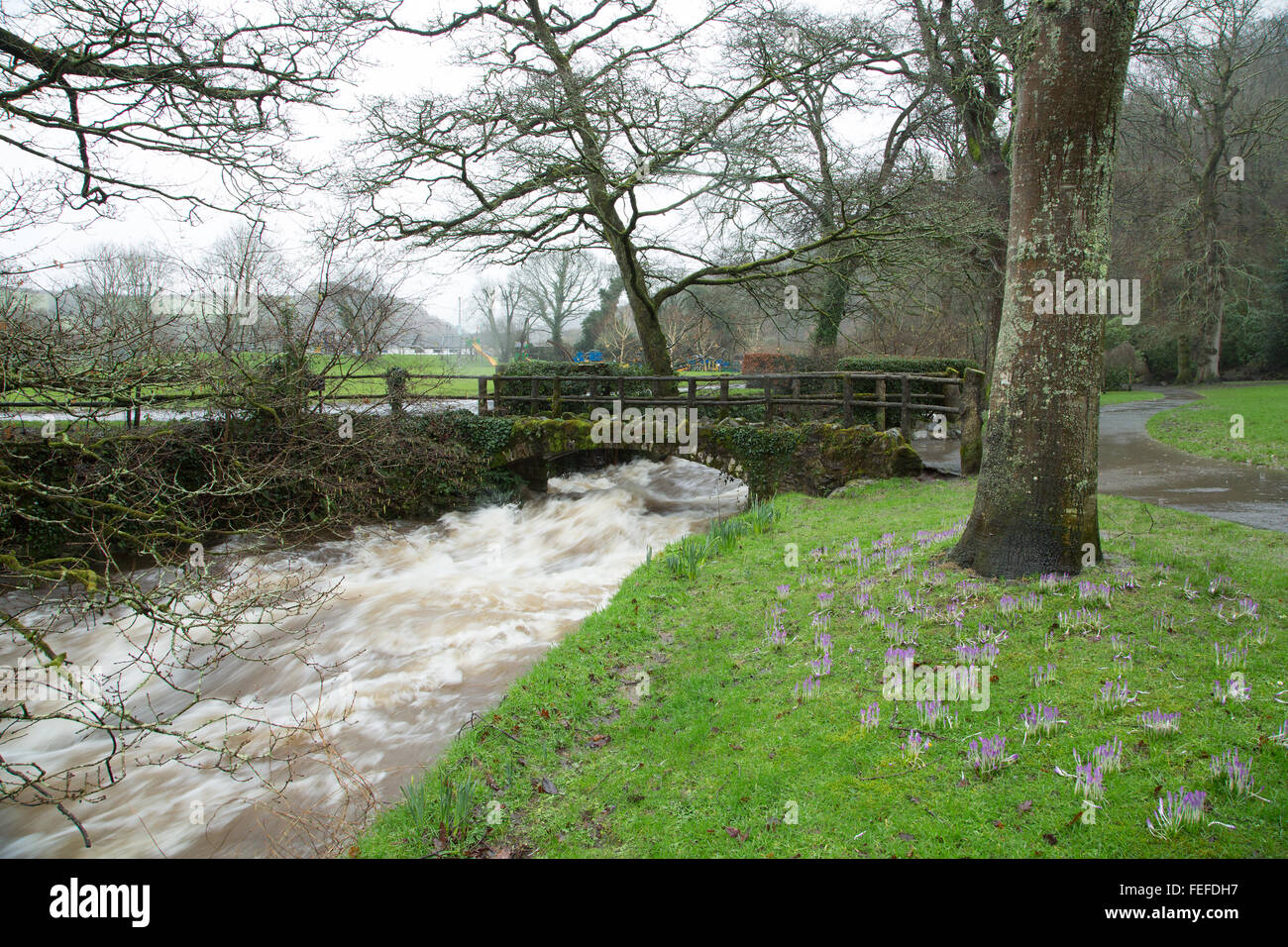 Simmons park okehampton hi-res stock photography and images - Alamy