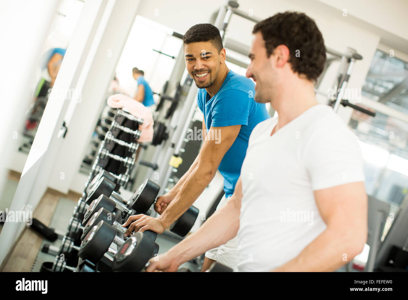Young men training in the gym Stock Photo - Alamy
