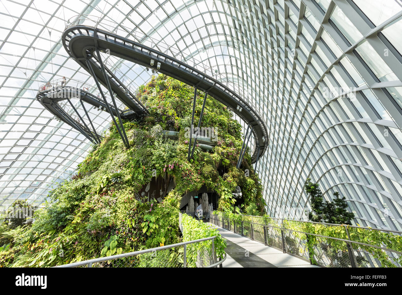 Cloud Forest in Singapore Stock Photo - Alamy