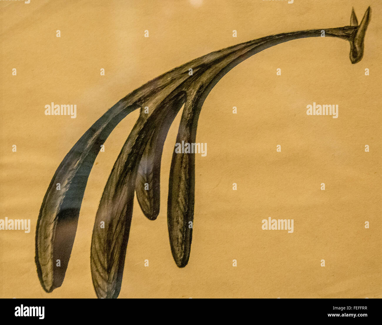 Animal by Spanish artist Pancho Lasso, (c. 1930-33), 24 x 30.5 cm Stock ...