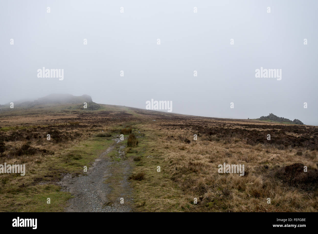 Preseli hills golden road hi-res stock photography and images - Alamy