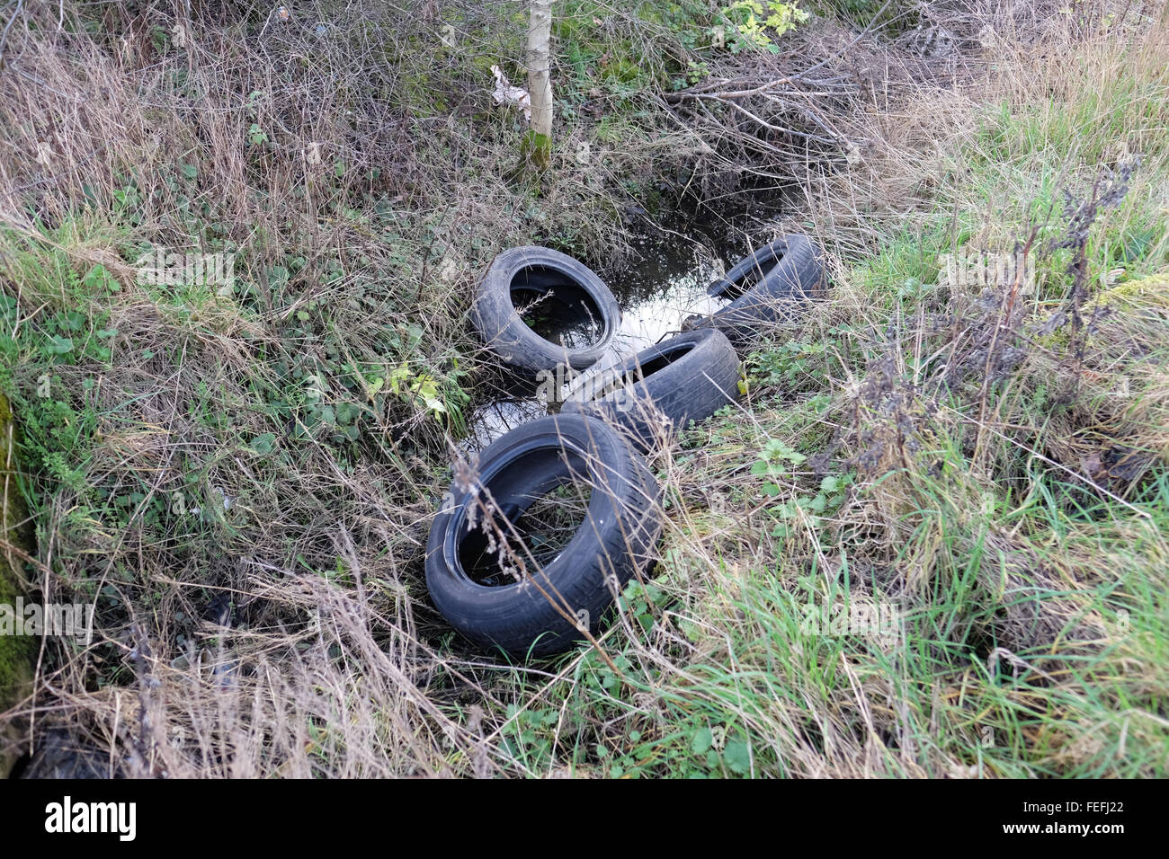 Rubbish ditch trash garbage hi-res stock photography and images - Alamy