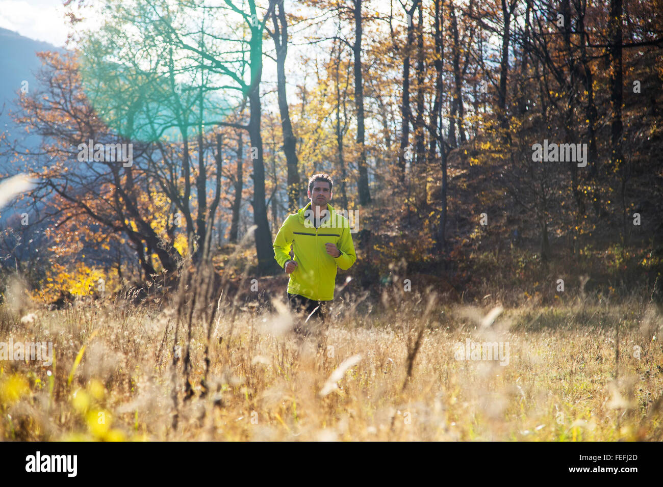 Man running at autumn park Stock Photo - Alamy