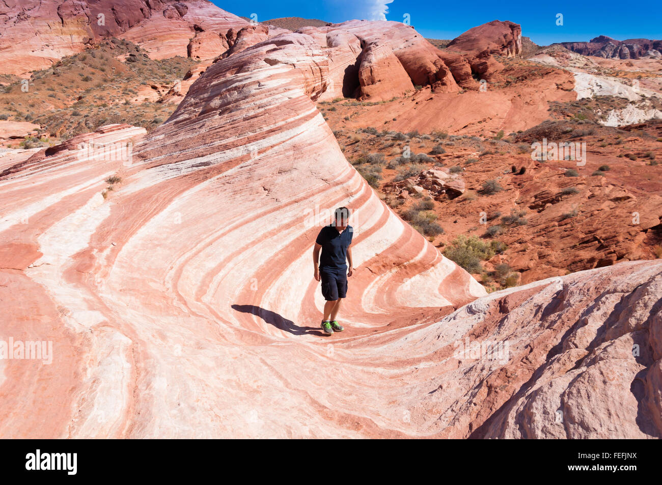 Fire Wave - beautifully striped sandstone rock formation, Valley of ...