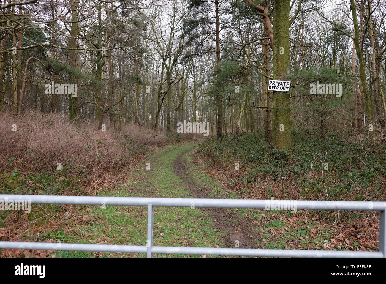 private property sign in a wood Stock Photo - Alamy