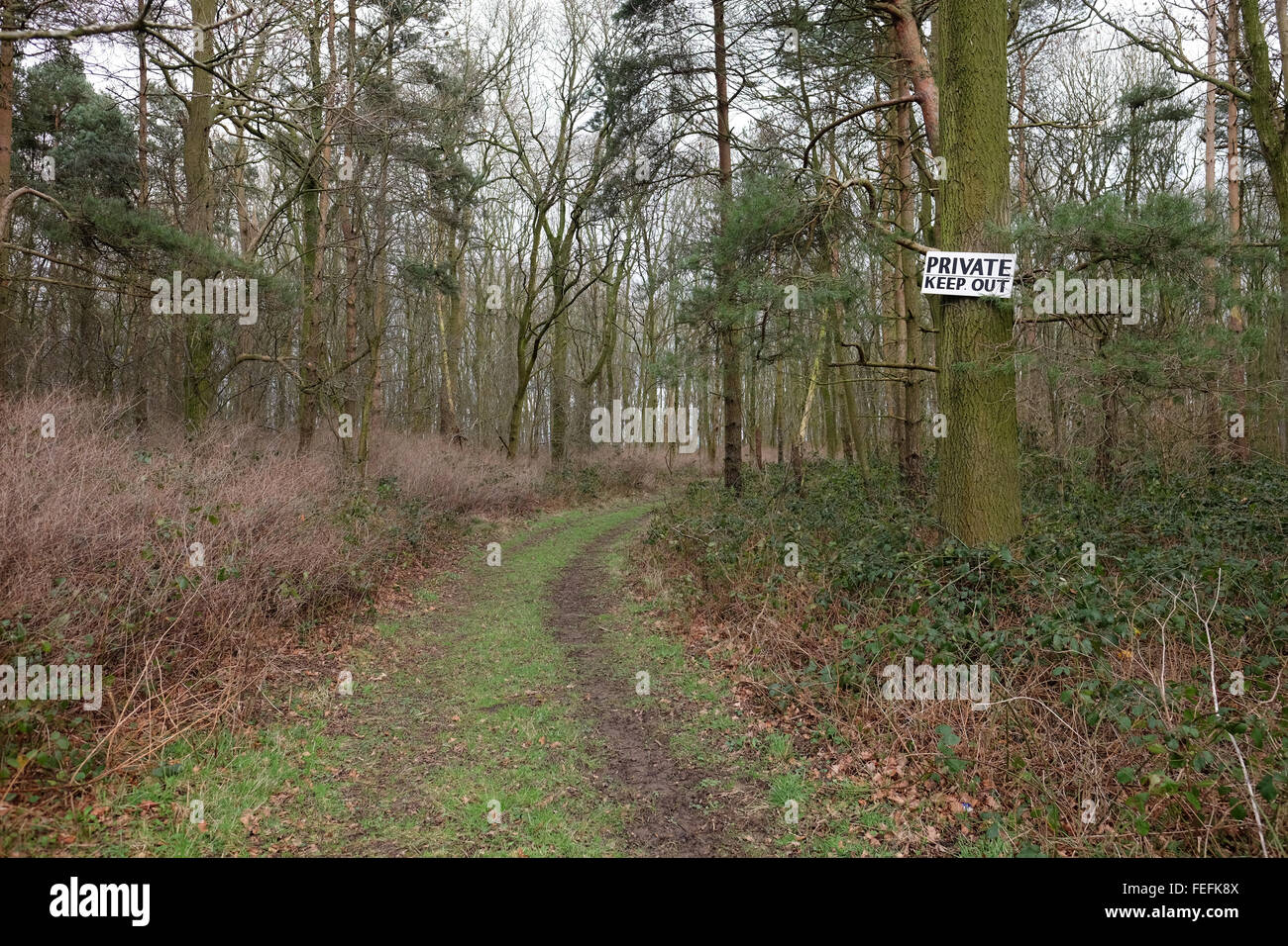 private property sign in a wood Stock Photo - Alamy