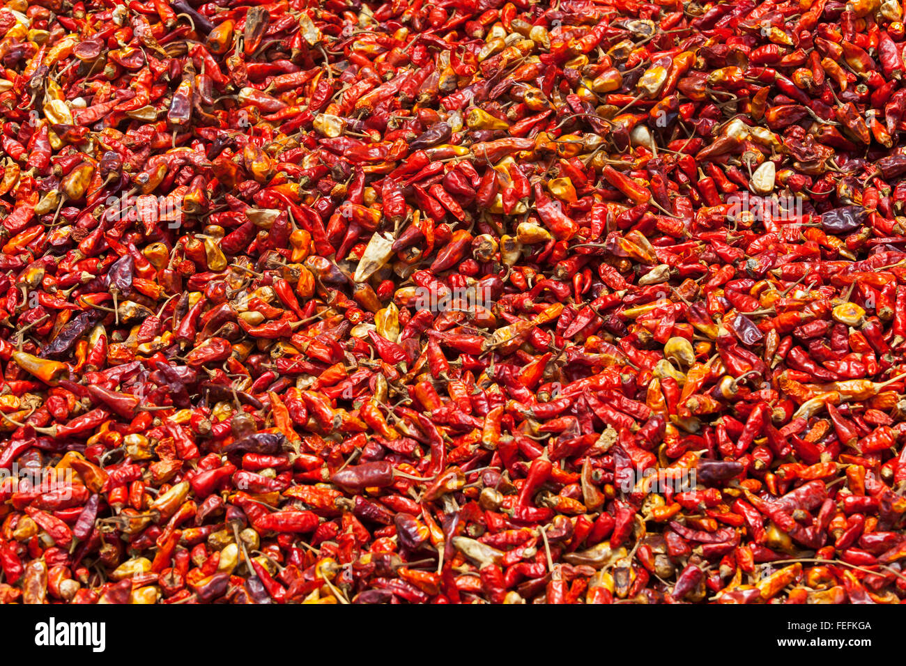 dried hot chili background Stock Photo - Alamy