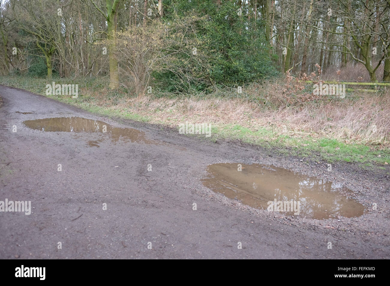 large puddles after heavy rain Stock Photo - Alamy