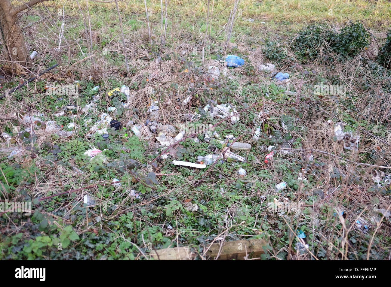 Rubbish dumped in a field next to the layby on the a6 loughborough road ...