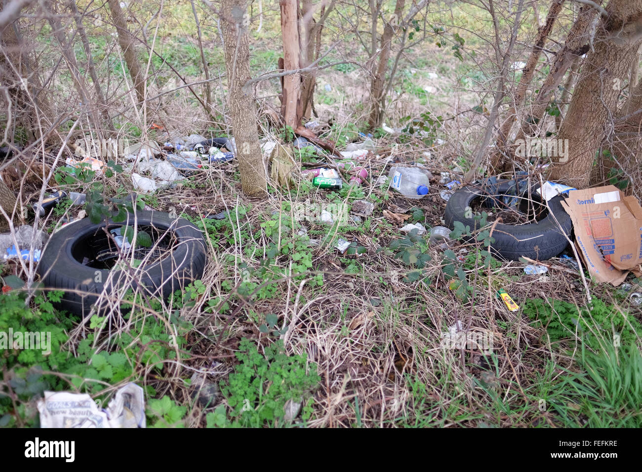 Rubbish dumped in a field next to the layby on the a6 loughborough road ...
