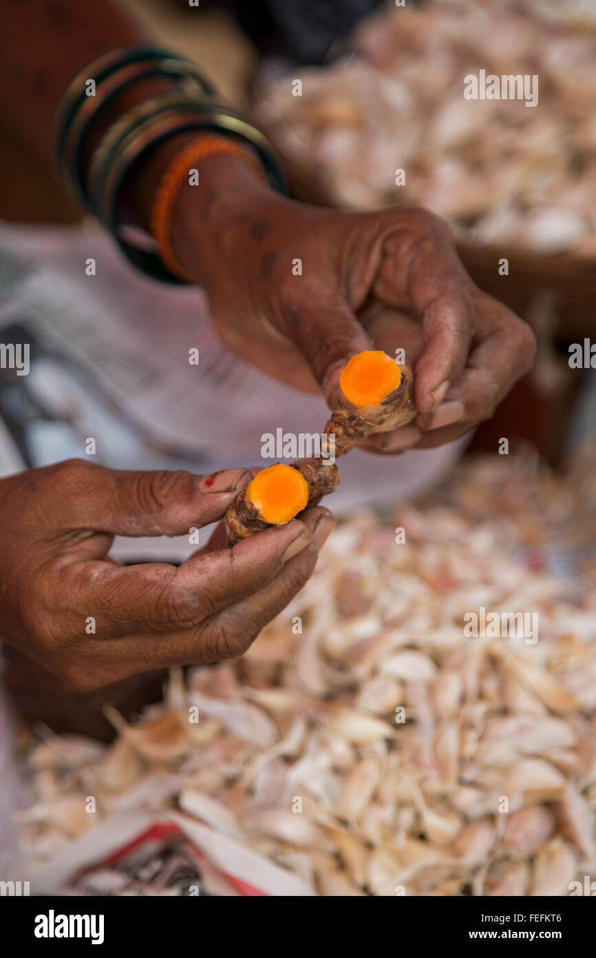 Curcuma spice in hand Stock Photo - Alamy