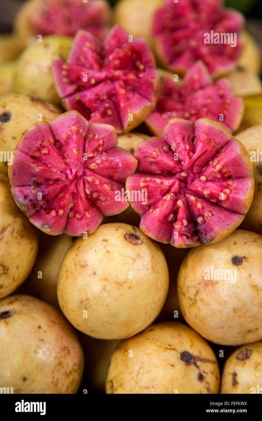 Guava fruit cut in half hi-res stock photography and images - Alamy
