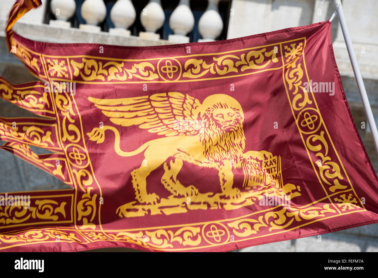 The city of Venice flag of the Wing Lion of St.Mark Stock Photo - Alamy