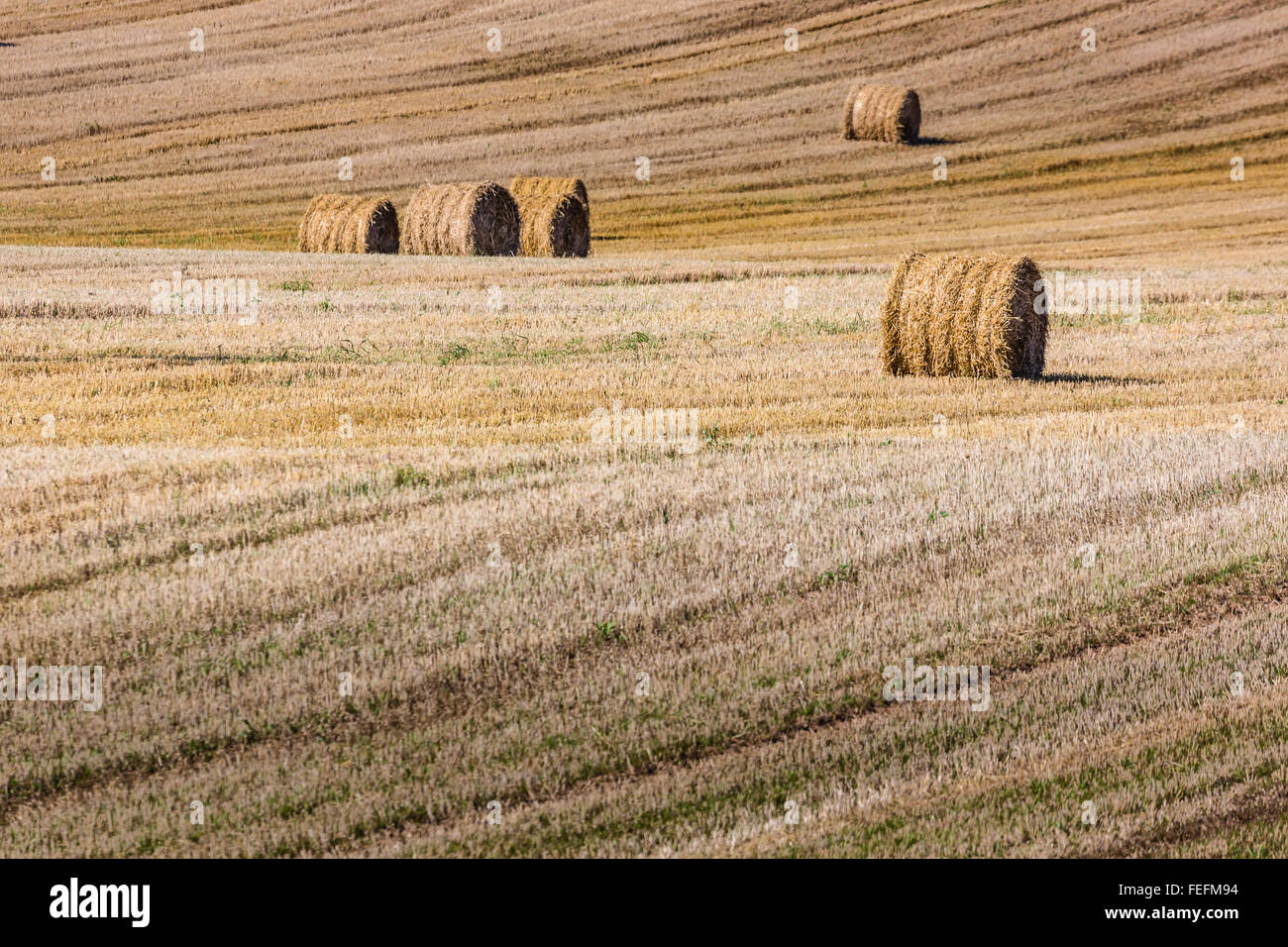 Straw ball hay corn hi-res stock photography and images - Alamy