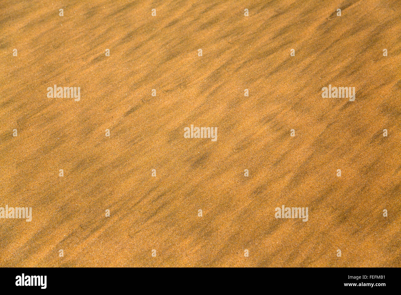 India on sand hi-res stock photography and images - Alamy