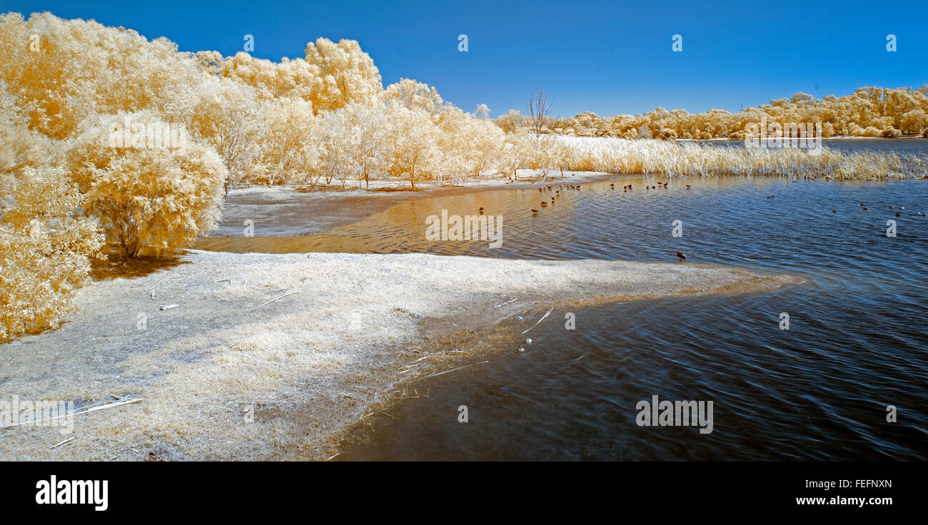 Lake Gwelup Perth, Western Australia Stock Photo - Alamy