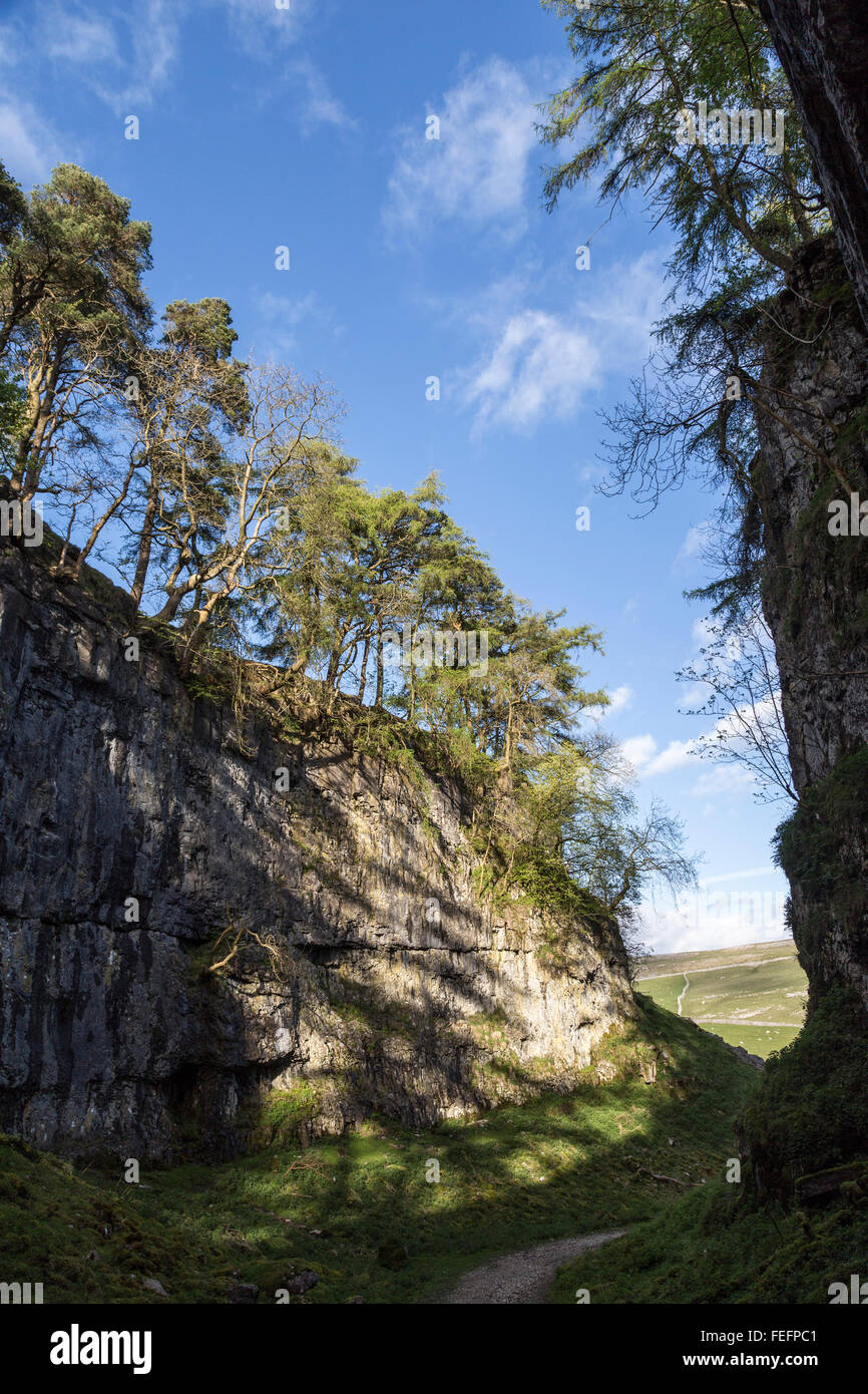 Trow Gill, Ingleborough, Yorkshire Dales, UK Stock Photo - Alamy