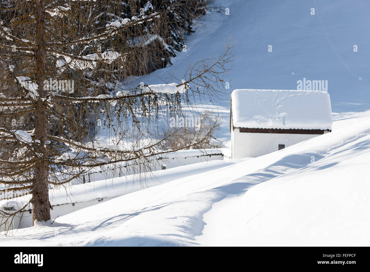 Mountain cliffs in the austrian alps hi-res stock photography and ...
