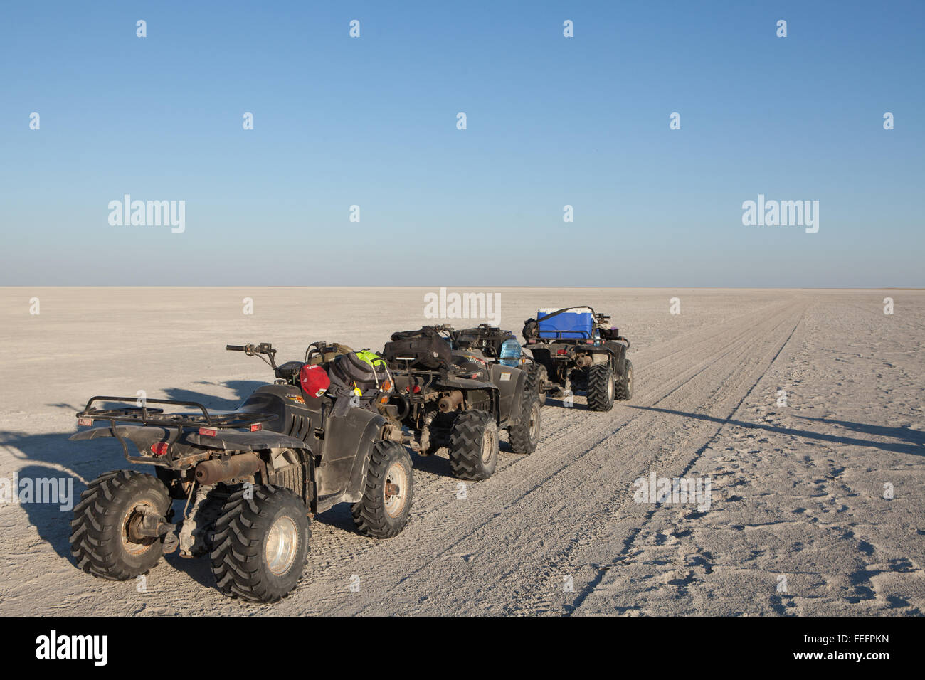 Botswana safari hi-res stock photography and images - Alamy