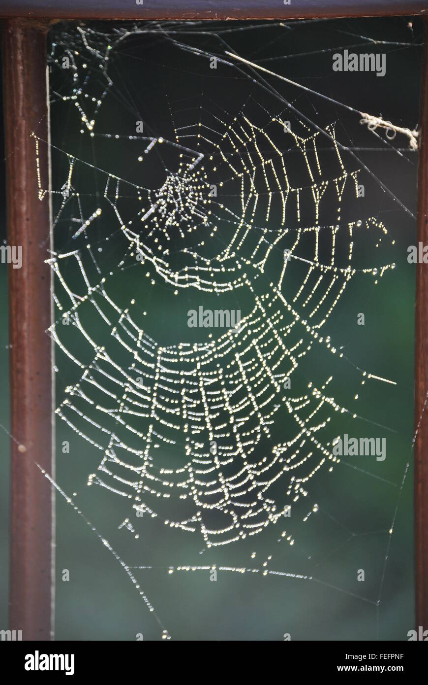 Weblocanda hi-res stock photography and images - Alamy