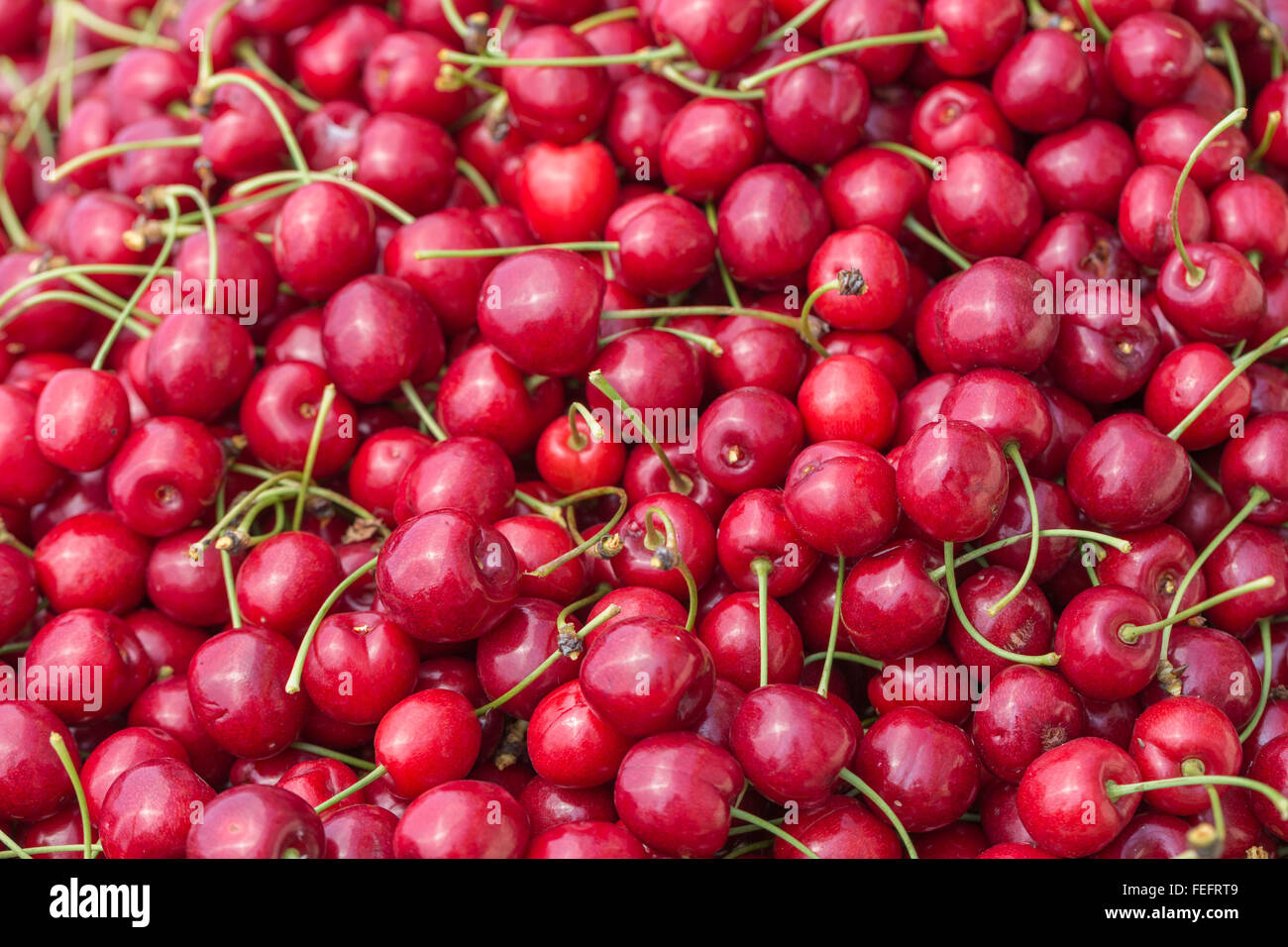 A big pile of cherries Stock Photo - Alamy