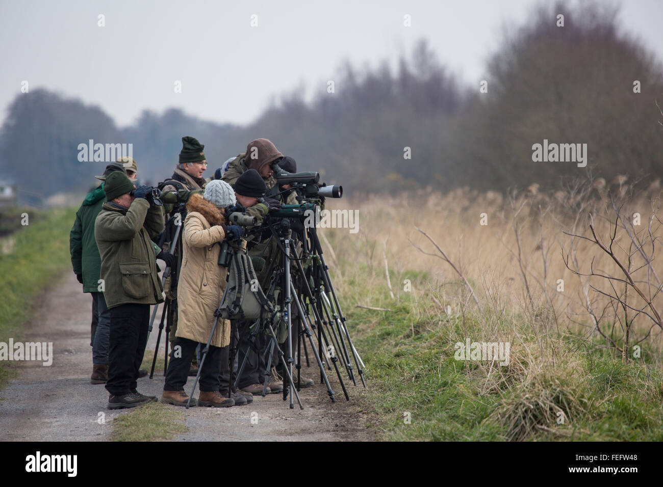 A group of bird watchers Stock Photo - Alamy