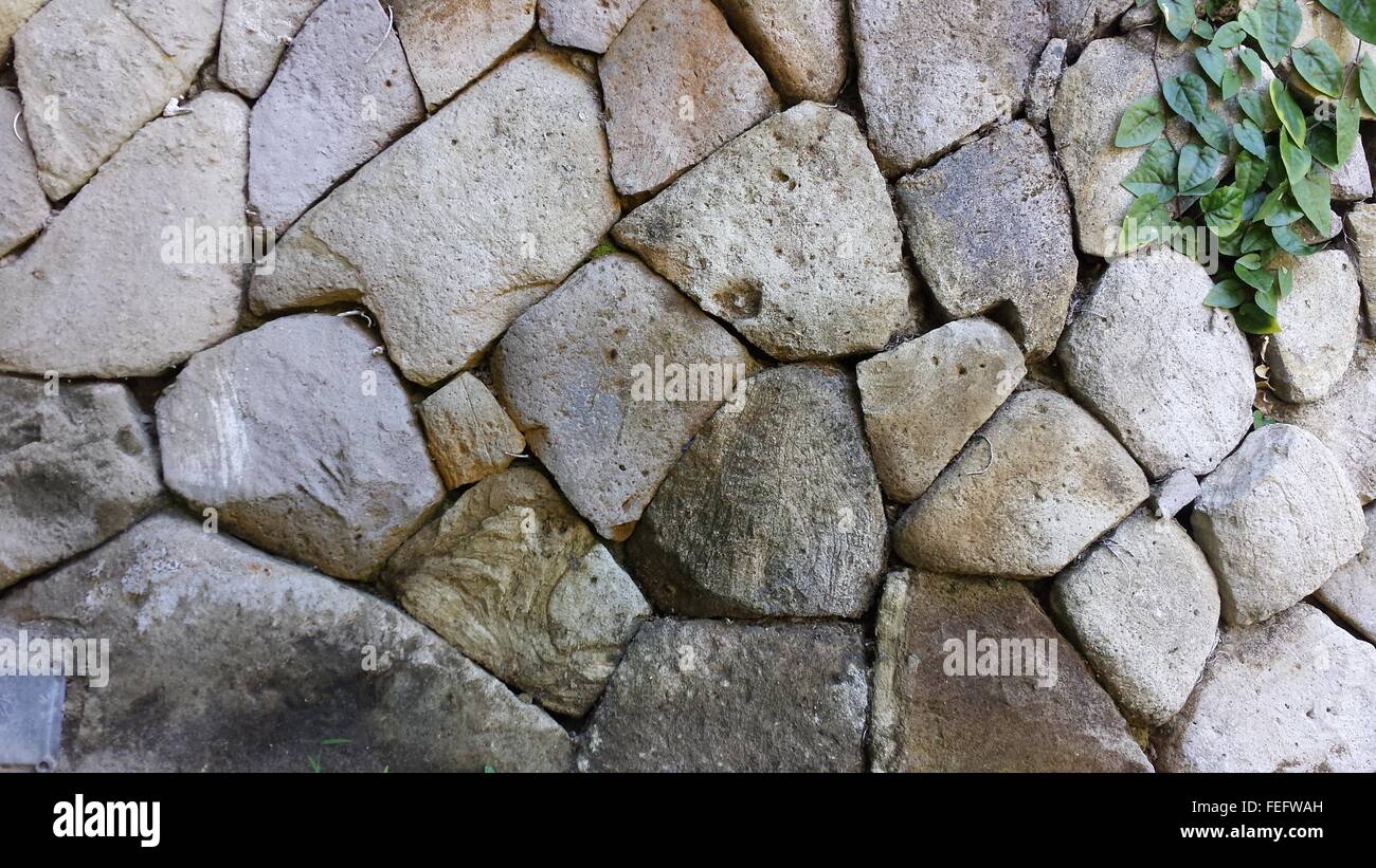 Stone wall with ivy Stock Photo - Alamy