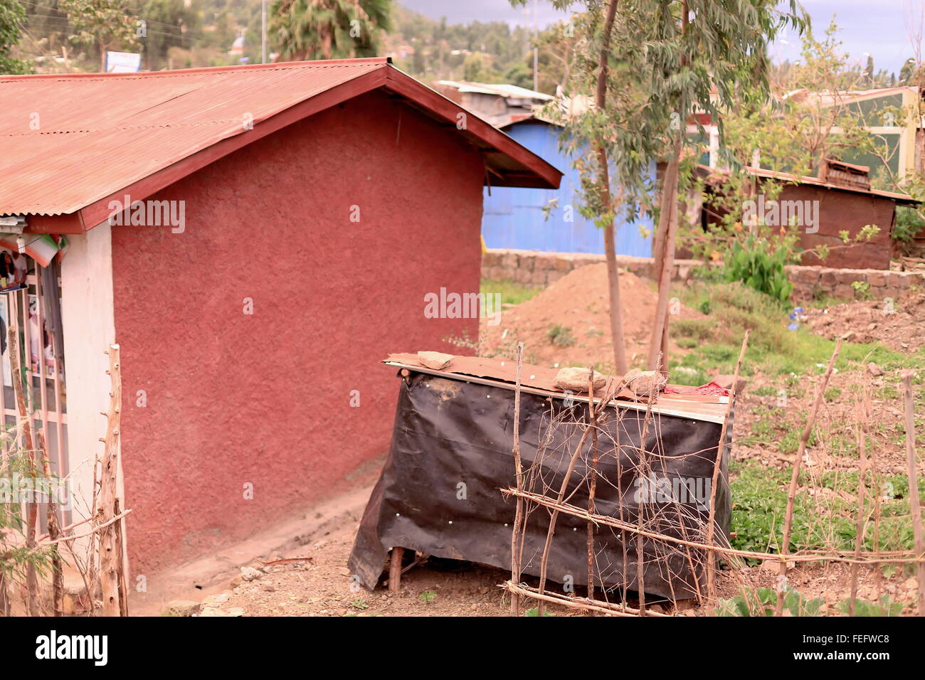 Red and blue painted houses with tin roofs set among orchards-area ...