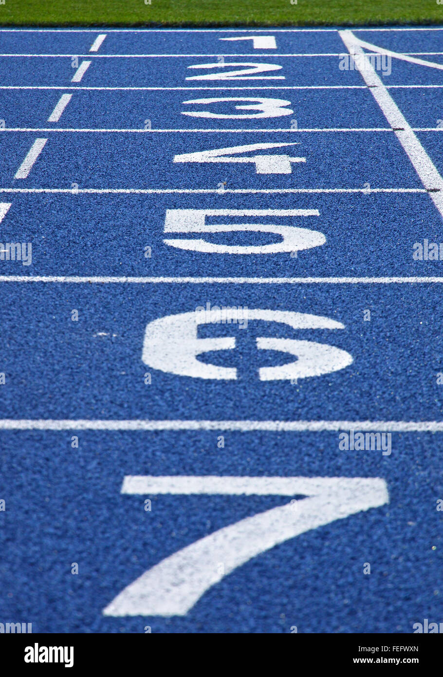 Starting grid of race track at the stadium Stock Photo - Alamy